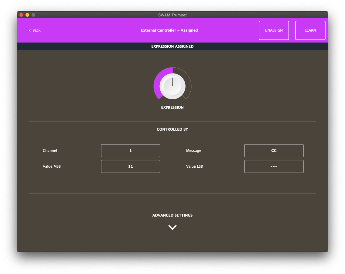 Audio modeling swam engine instruments mpe - expertsnaxre